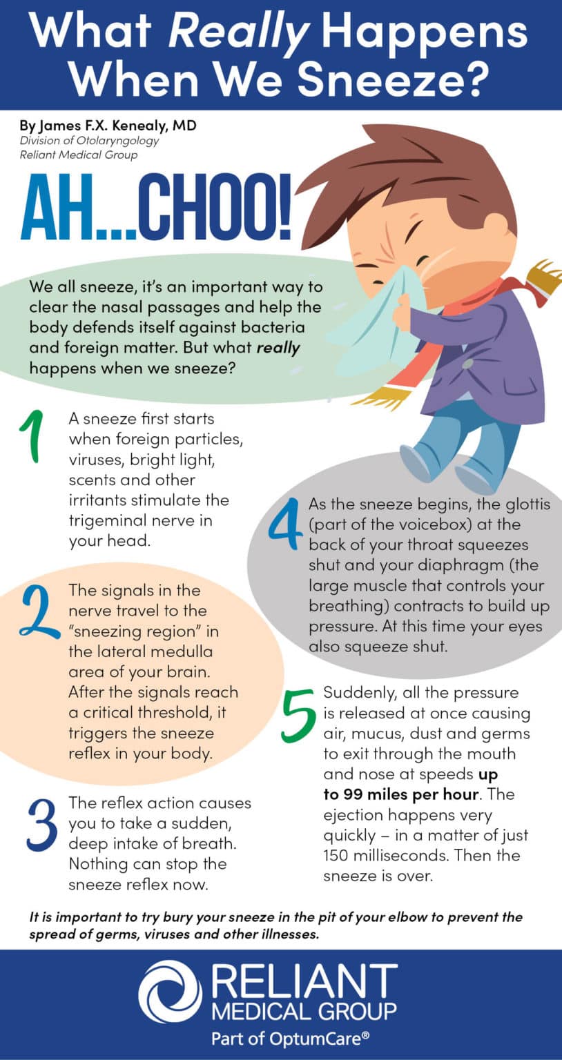 What Really Happens When We Sneeze? - Reliant Medical Group